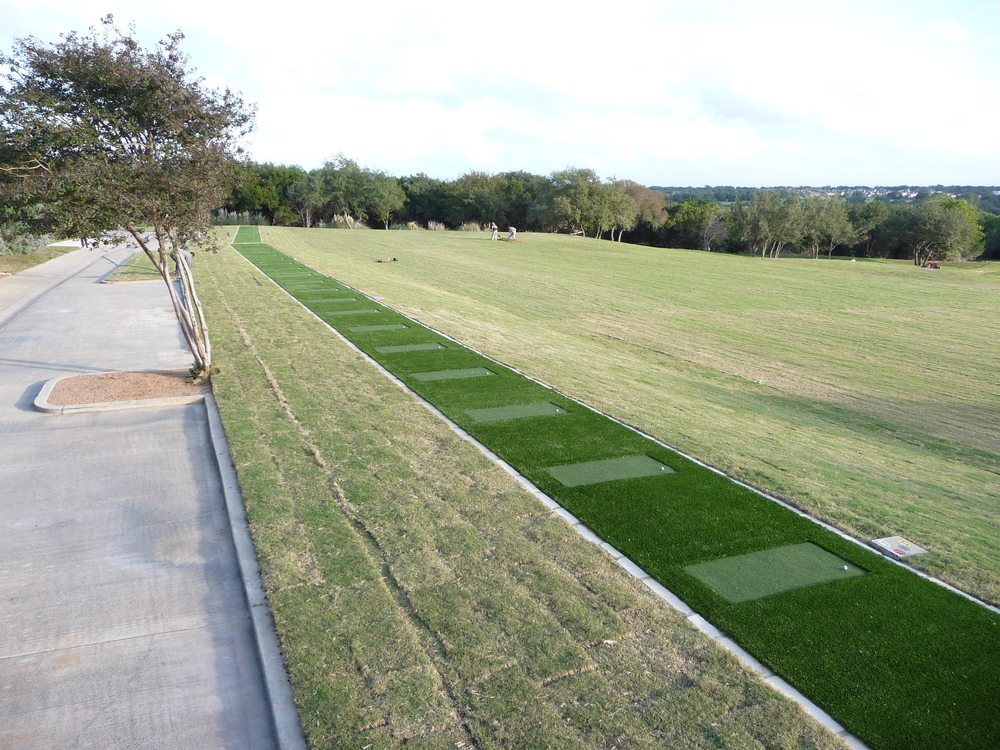 Golden Bear Turf | Southwest Greens of Metro New York